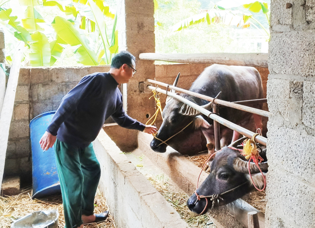 Những nông dân thu nhập “tiền tỷ” - Báo Cao Bằng điện tử