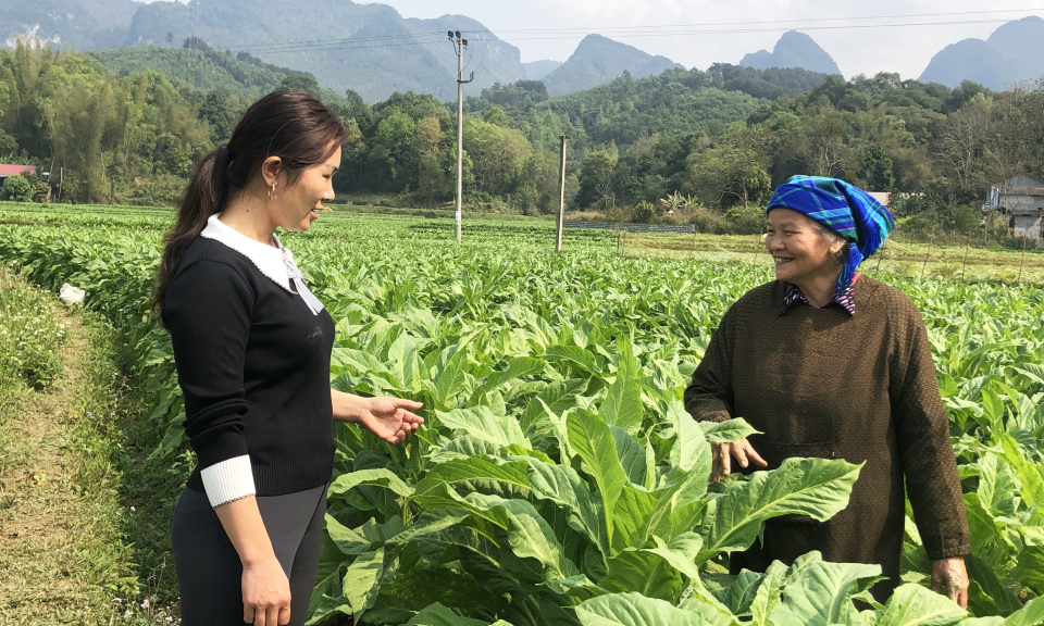Đảng bộ huyện Hòa An nâng cao chất lượng sinh hoạt chi bộ - Báo Cao ...