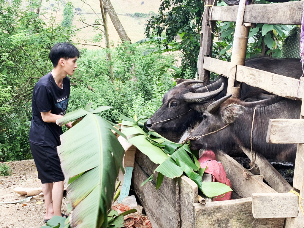 Nguyên Bình đẩy mạnh cho vay tạo việc làm, thu nhập cho lao động nông thôn - Báo Cao Bằng điện tử